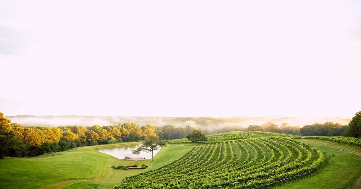 Plan Your Romantic Small Town Getaway in Georgia's Wine Country ...