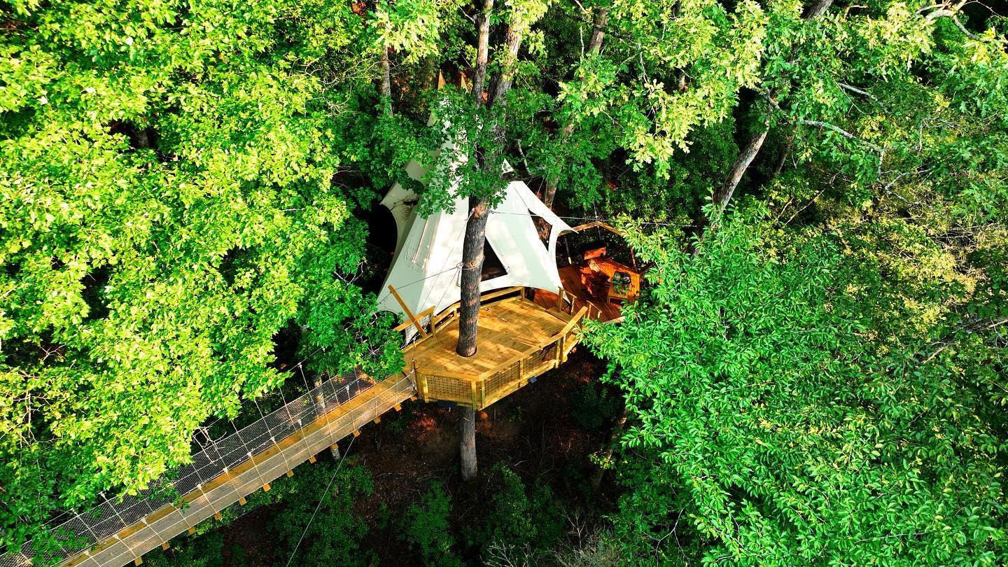 tranquility forest hull ga