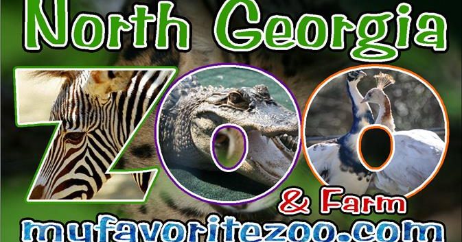 North Georgia Wildlife Park & Zoo | Discover Dahlonega